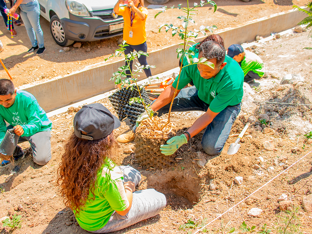 Sobre nosotros | Nación Verde