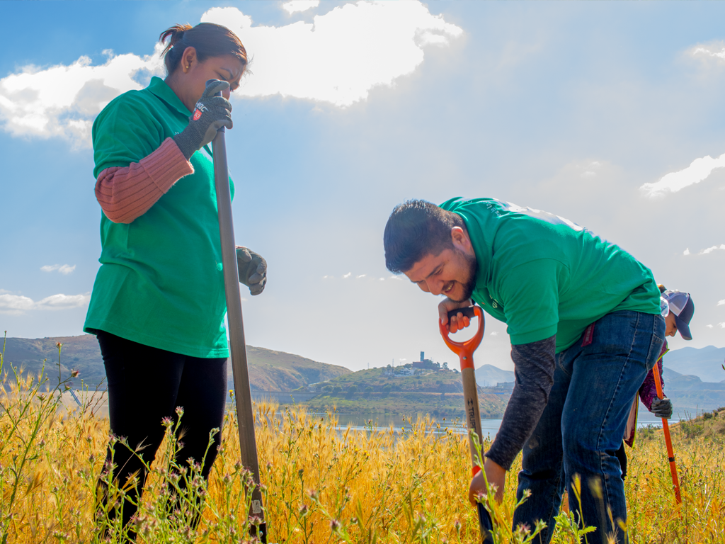 Sobre nosotros | Nación Verde