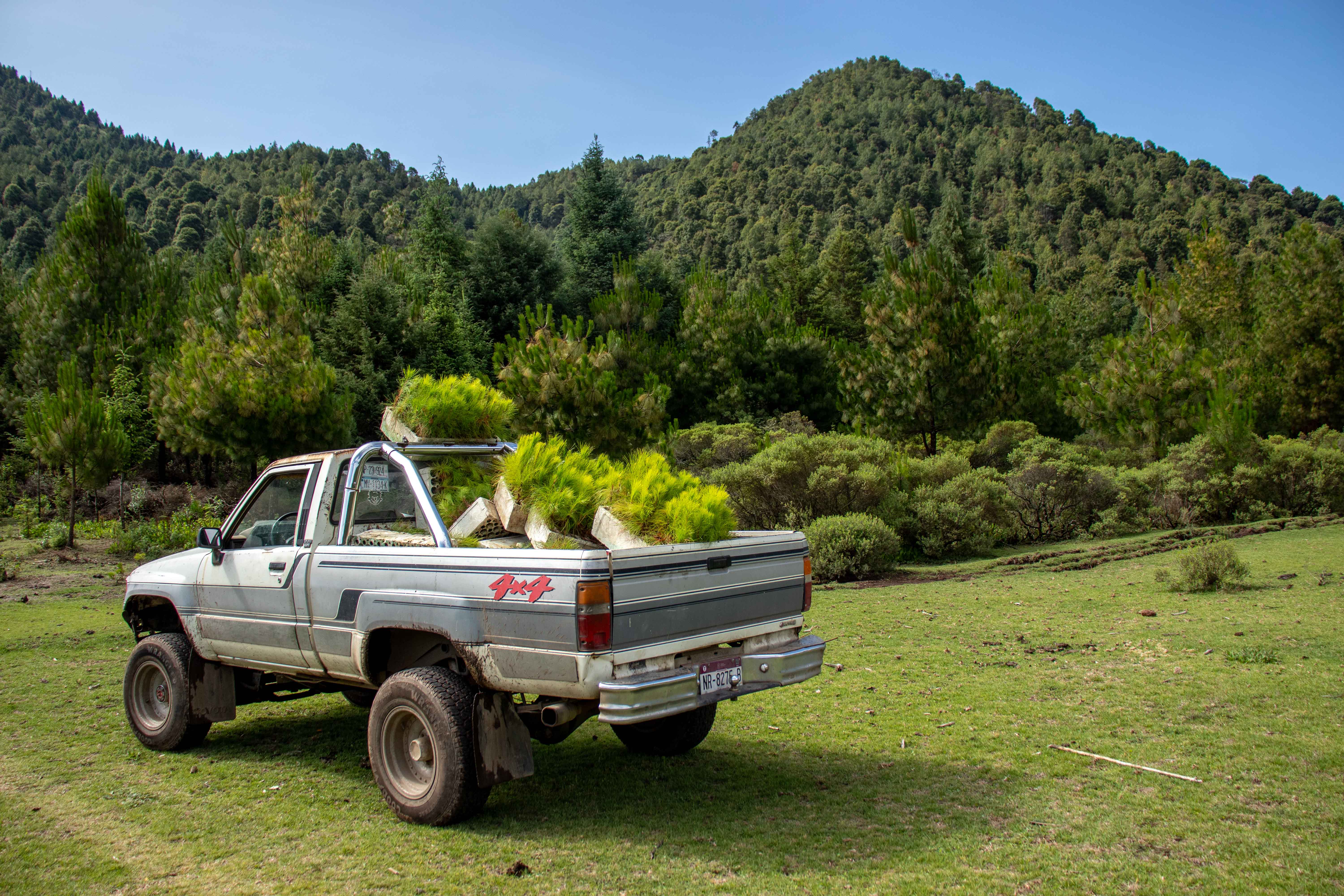 Sobre nosotros | Nación Verde