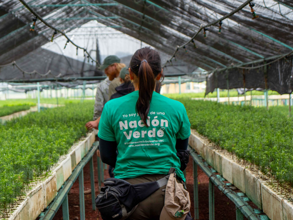 Sobre nosotros | Nación Verde