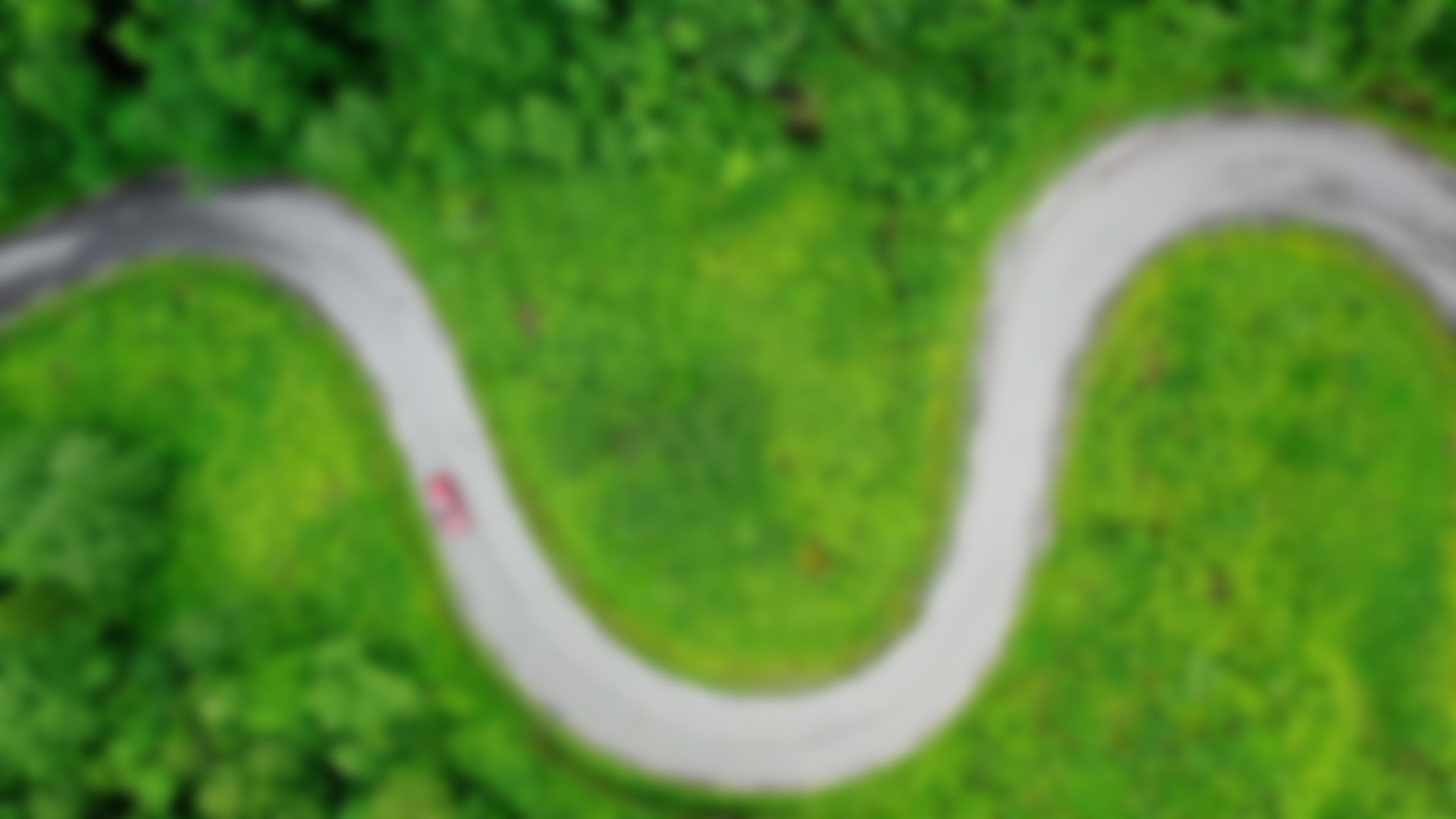 Organisasjonen | NAF