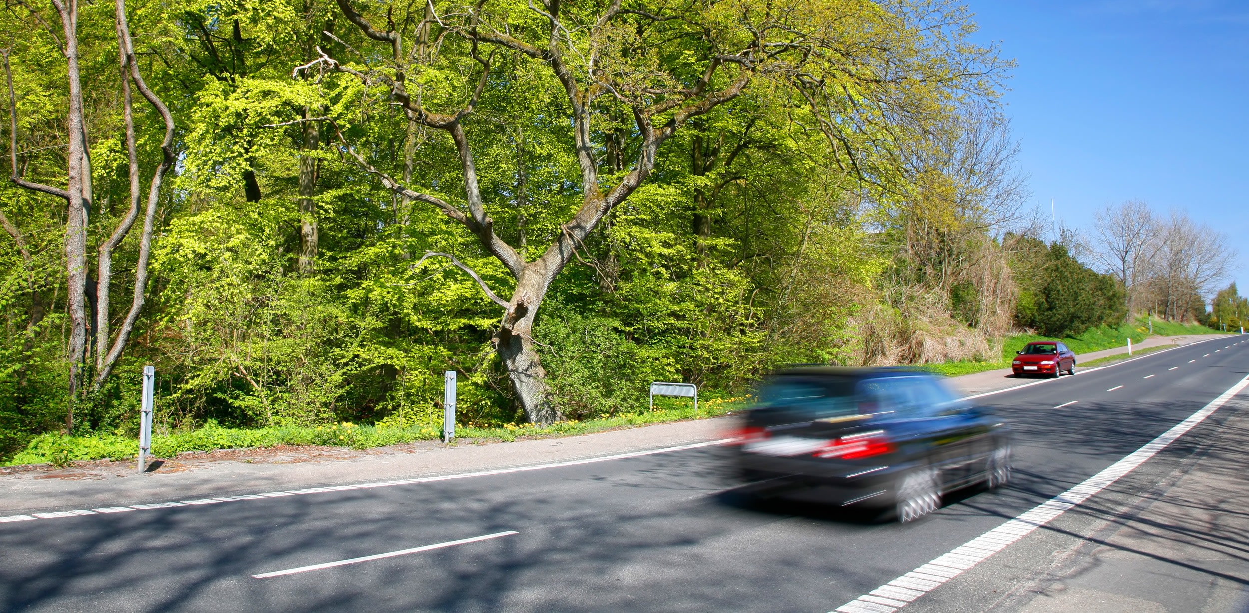 Kjøre bil i Danmark | NAF