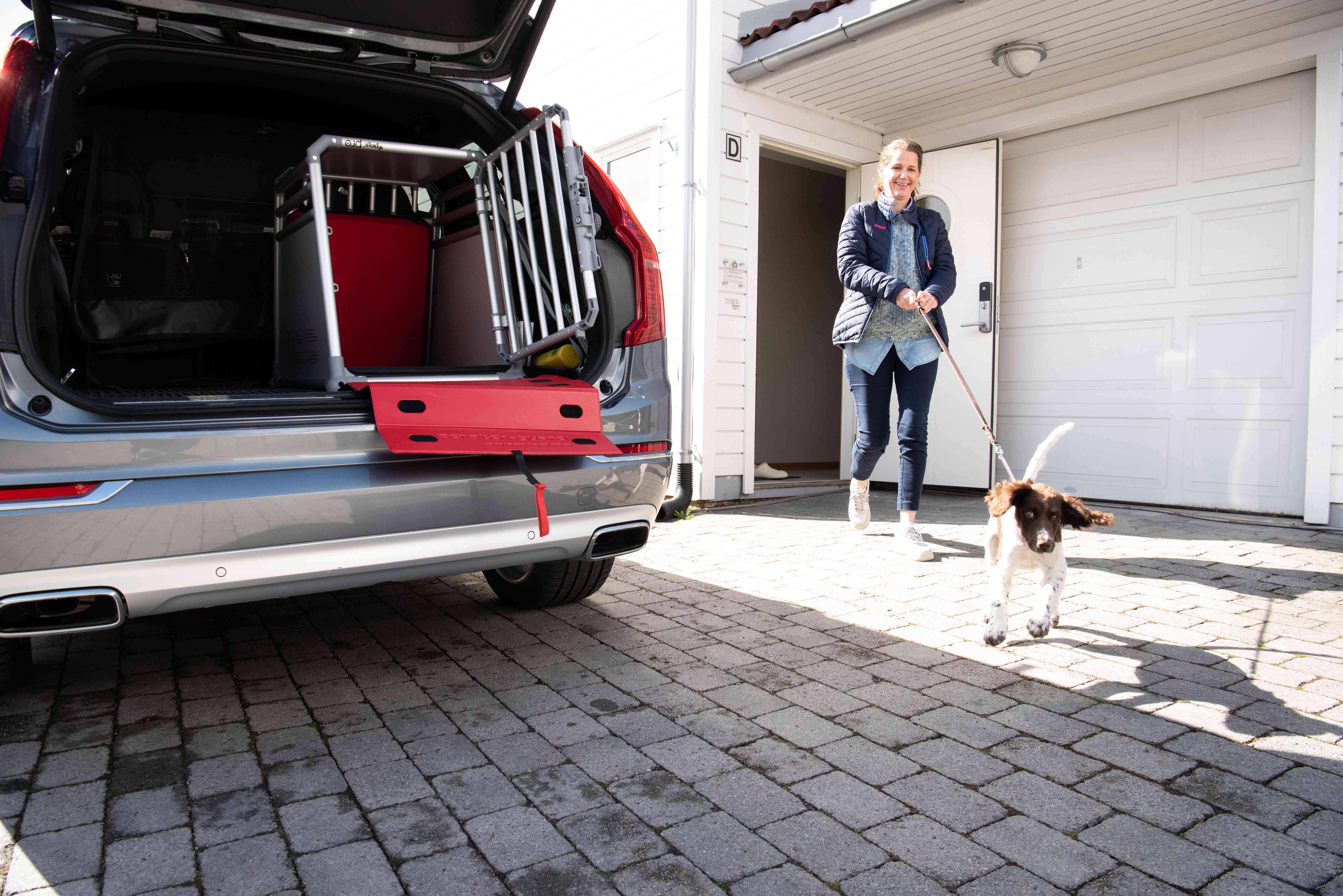 Hvordan sikre hund i bil? Alt du trenger å vite om dyr i bil | NAF