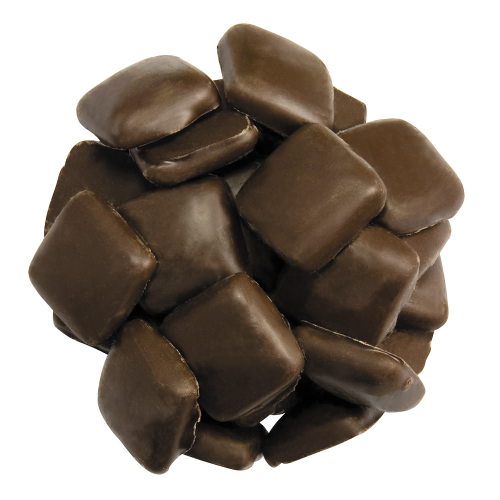 Nassau Candy Dark Chocolate Mini Graham Crackers | Nassau Candy