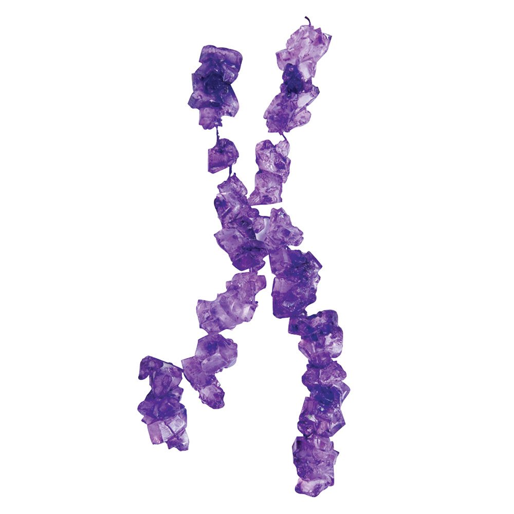 Roses Brands Purple Grape Rock Candy Strings | Nassau Candy