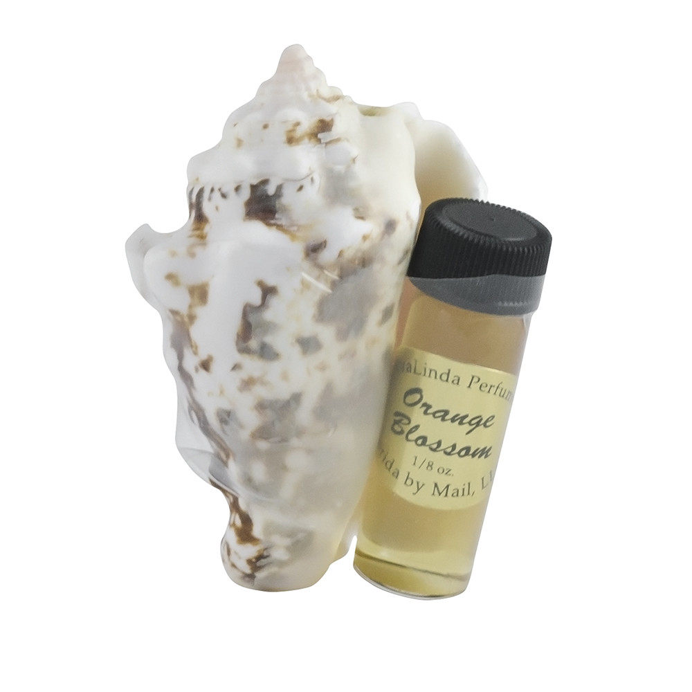 Floralinda Orange Blossom Perfume Shell 013 Oz Nassau Candy