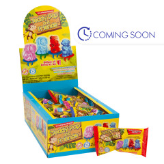 Teddy Pops | Nassau Candy