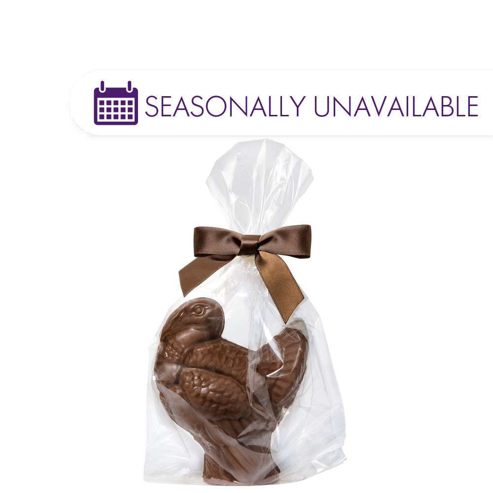 Nancy Adams Solid Milk Chocolate Turkey 7 Oz | Nassau Candy