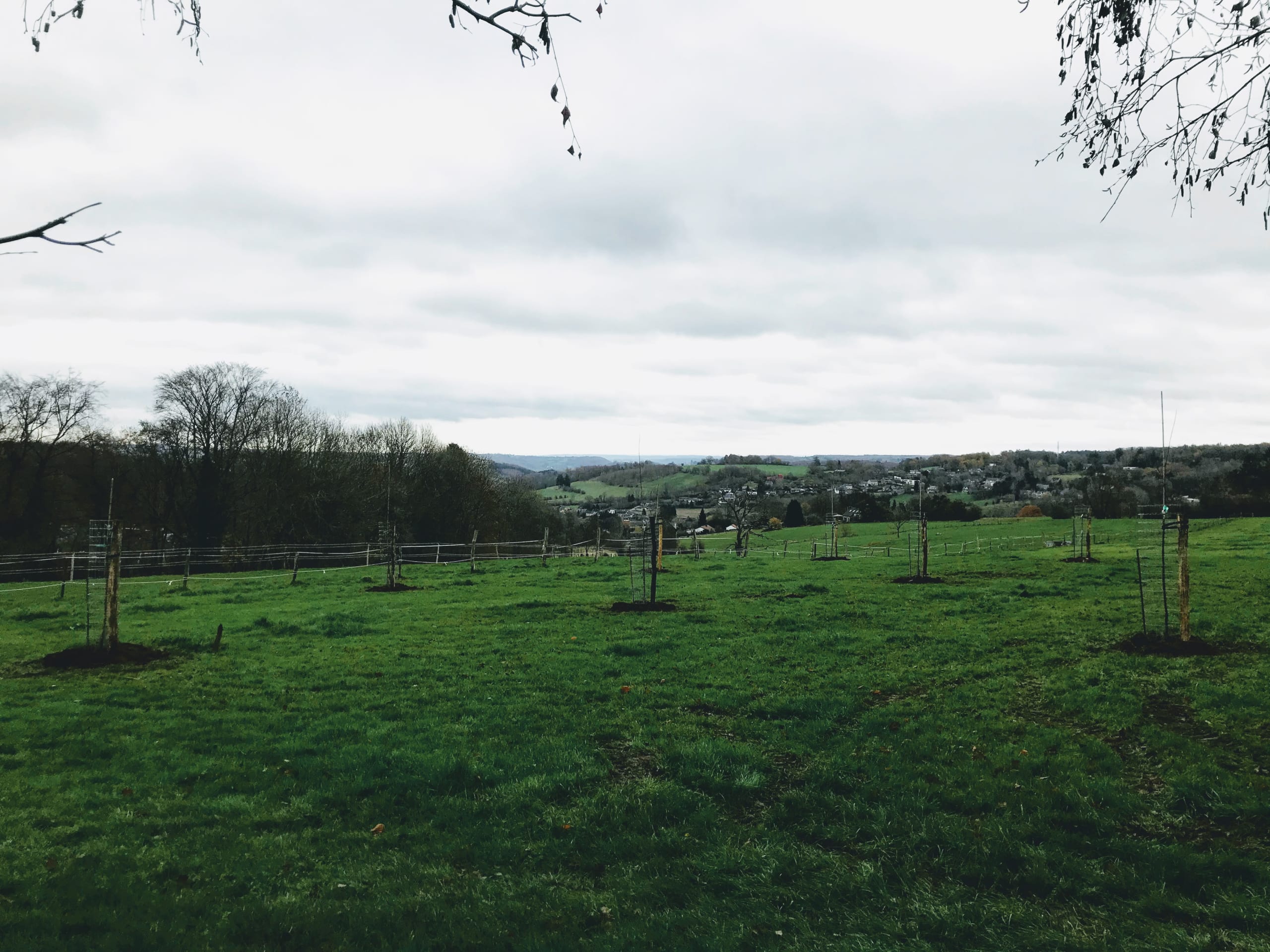 Le micro-verger | Nature Lover | Plantation d'arbres fruitiers