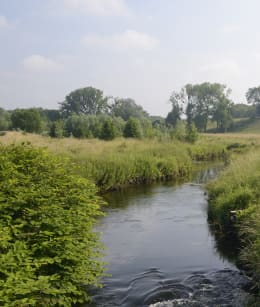Wandelroute Geleenbeekdal, rondje Stammenderbos | Natuurmonumenten