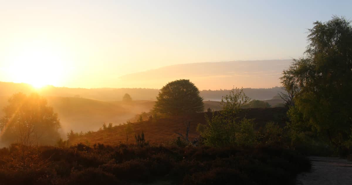 Natuurgebieden | Natuurmonumenten
