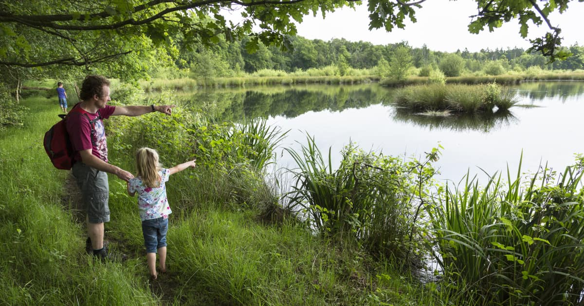 Witte Veen | Natuurmonumenten
