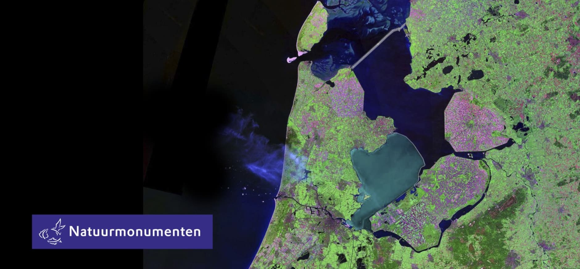 Dynamisch natuurgebied in het Markermeer | Natuurmonumenten