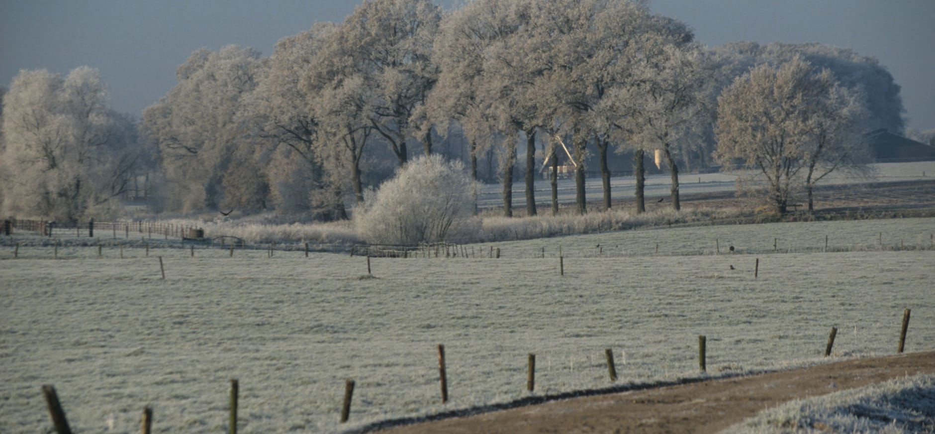 Natuurgebieden in Twente | Natuurmonumenten