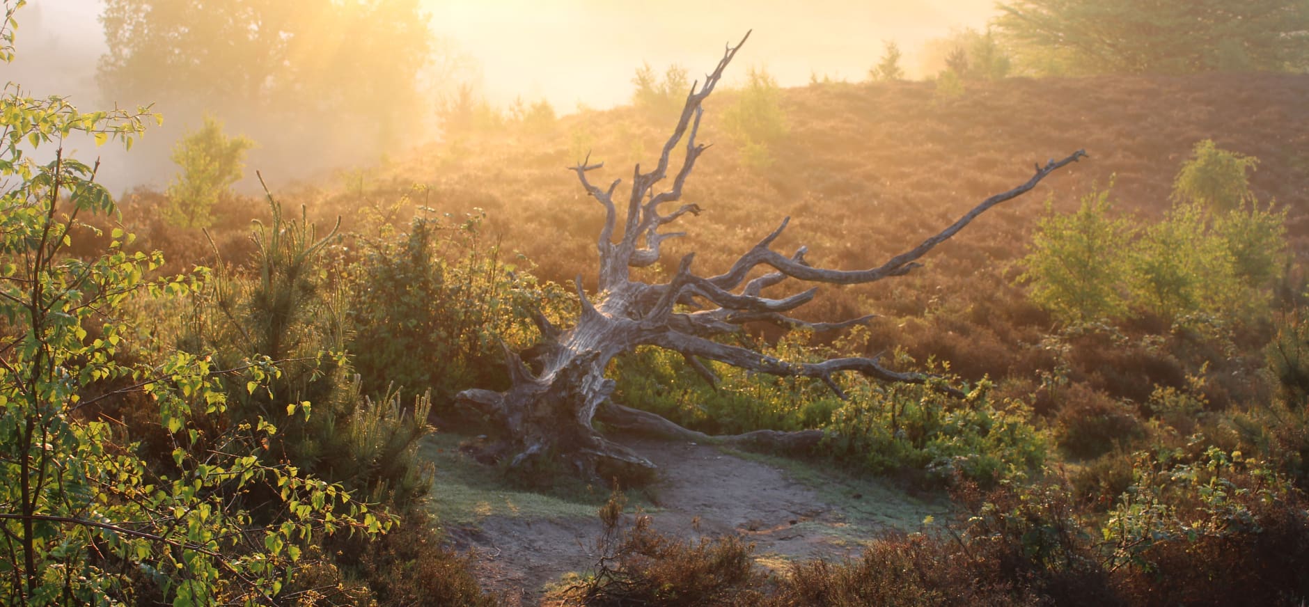 Gelderland - Provincie | Natuurmonumenten