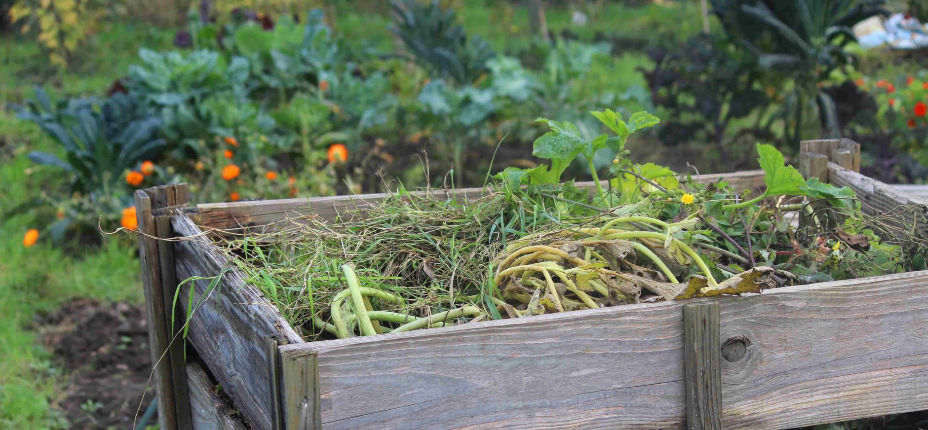 Compost maken doe je zo | Natuurmonumenten