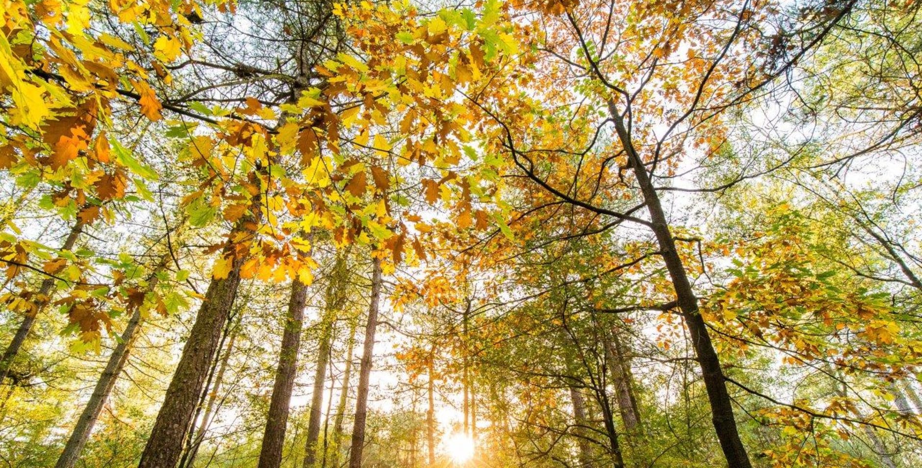 De natuur heeft jou nodig | Natuurmonumenten