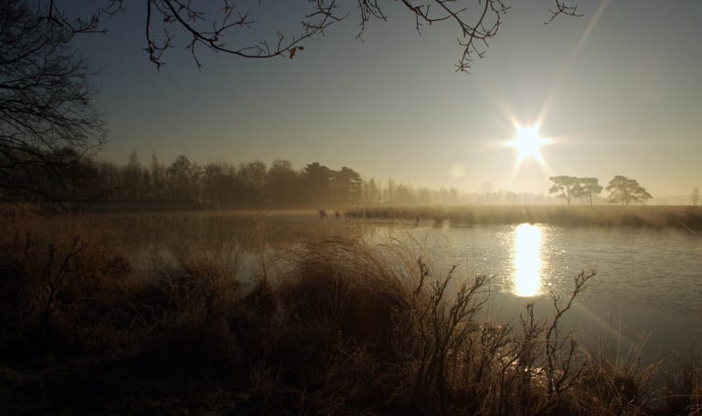 Huis ter Heide - Natuurgebied | Natuurmonumenten