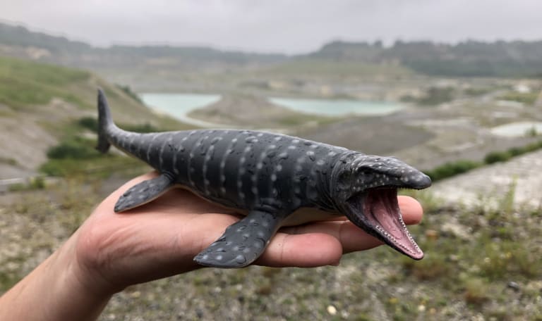 Sint-Pietersberg - Natuurgebied | Natuurmonumenten