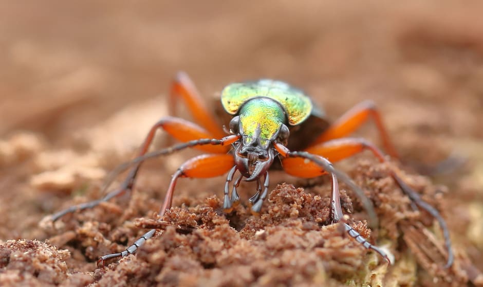 Winnaars foto van de maand | Natuurmonumenten