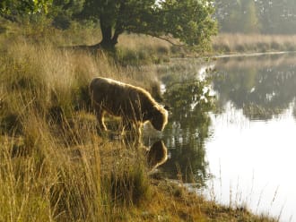 Huis ter Heide - Natuurgebied | Natuurmonumenten