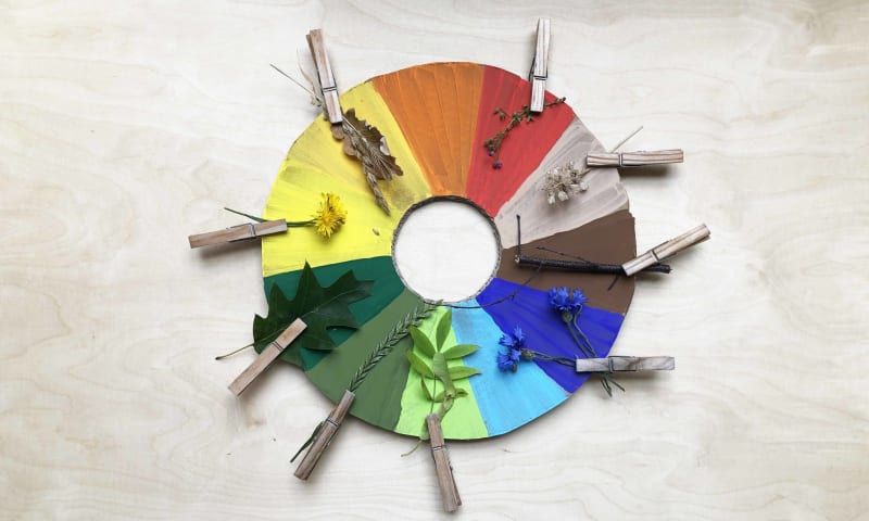 Kleurenwiel maken met OERRR | Natuurmonumenten