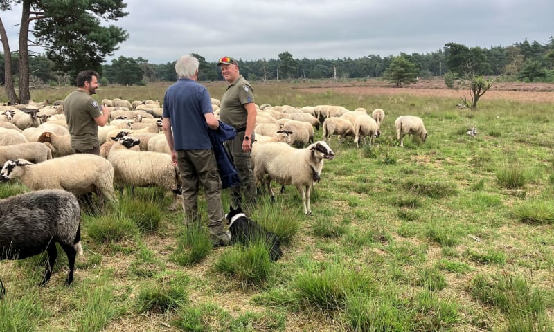 Onmisbaar - de BOA boswachter bij Natuurmonumenten | Natuurmonumenten