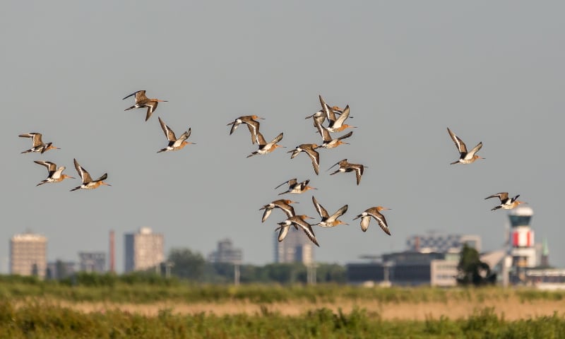 400 hectare groene buitenruimte voor recreatie, landbouw en natuur ...