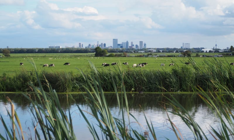 Herfstvakantie op het Rotterdams platteland | Natuurmonumenten
