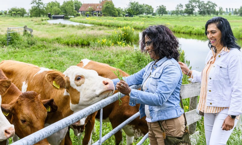 Boswachter tipt: 6x de leukste tips voor zomervakantie aan de noordkant ...