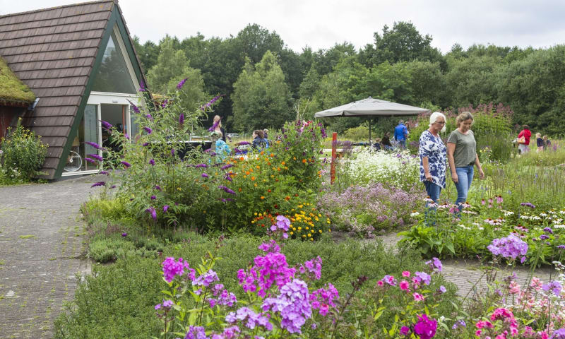 Vlindertuin op de schop | Natuurmonumenten