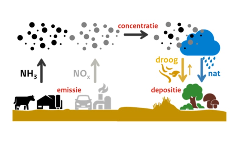 Wat is stikstof? | Natuurmonumenten