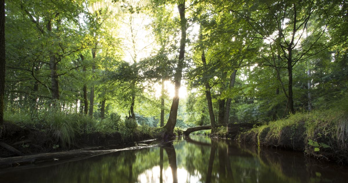 Visie op de natuur | Natuurmonumenten