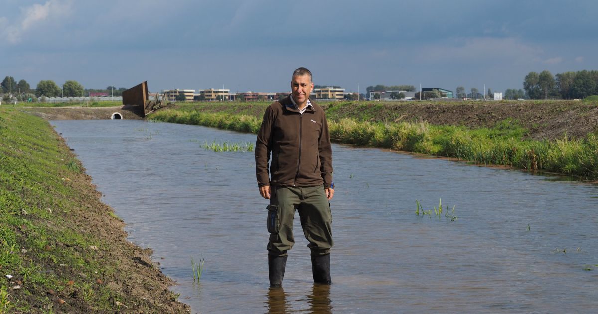 Column boswachter Maurice: Dood hout leeft | Natuurmonumenten