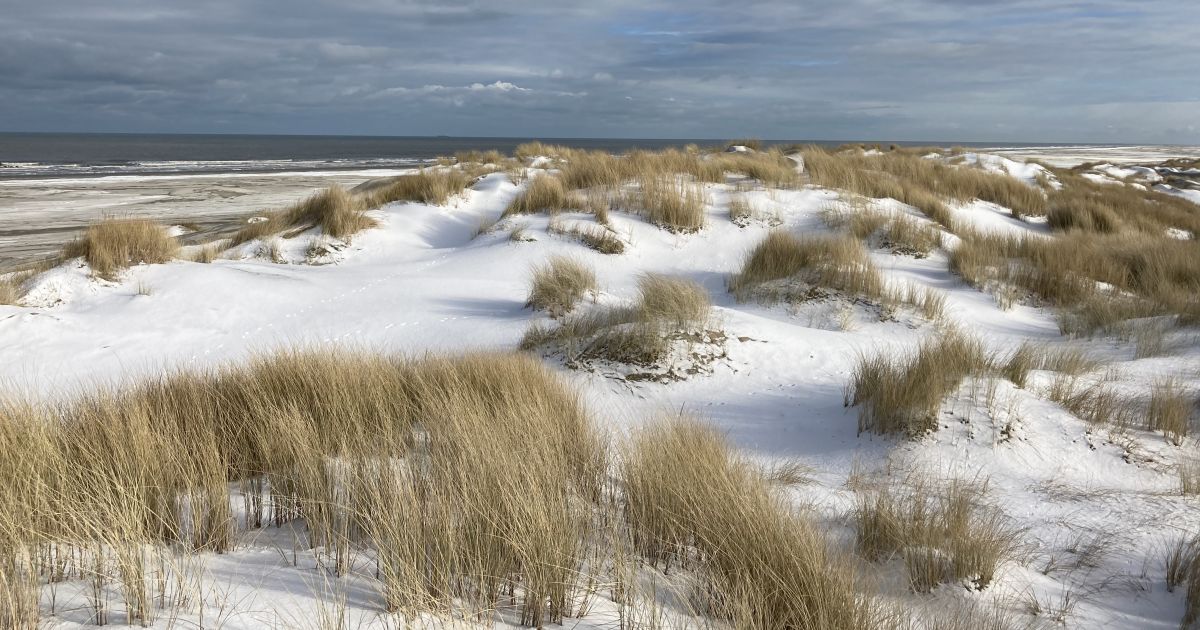 Wandelen in Friesland | Natuurmonumenten