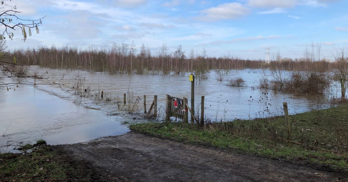 Groenonderhoud bij Dilkensplas en Teggerseplas in Ohé en Laak ...
