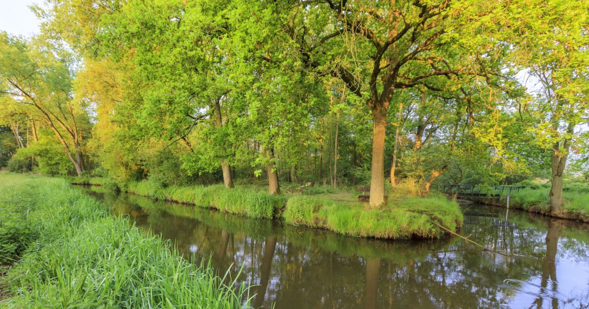 Voettocht voor een Drinkbare Dommel | Natuurmonumenten