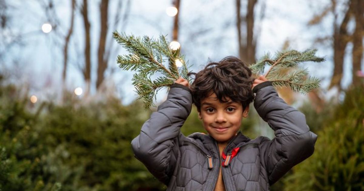 Vier Kerst met de boswachter op de Veluwezoom | Natuurmonumenten