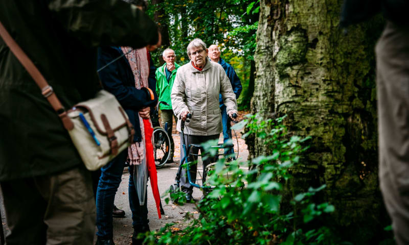 Rollatorwandeling met de boswachter door de Kaapse Bossen ...