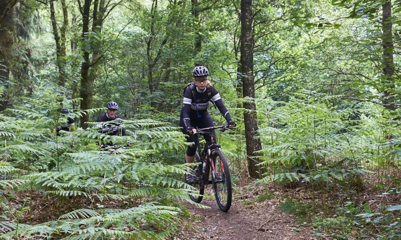MTB route Grote Veld bij Vorden | Natuurmonumenten