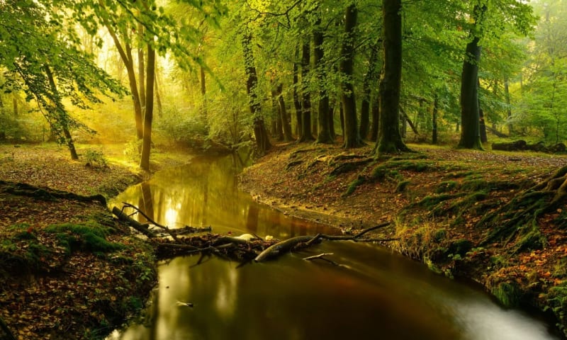 10x natuurfotografie, de mooiste plekken in de natuur | Natuurmonumenten