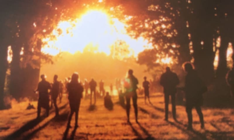 Vraag het de boswachter tijdens de zonnewende | Natuurmonumenten