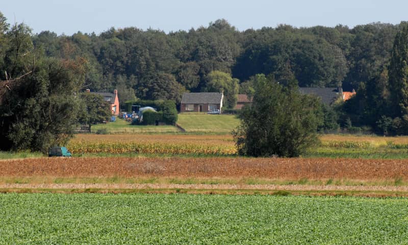 Noordpolder van Ossendrecht | Natuurmonumenten
