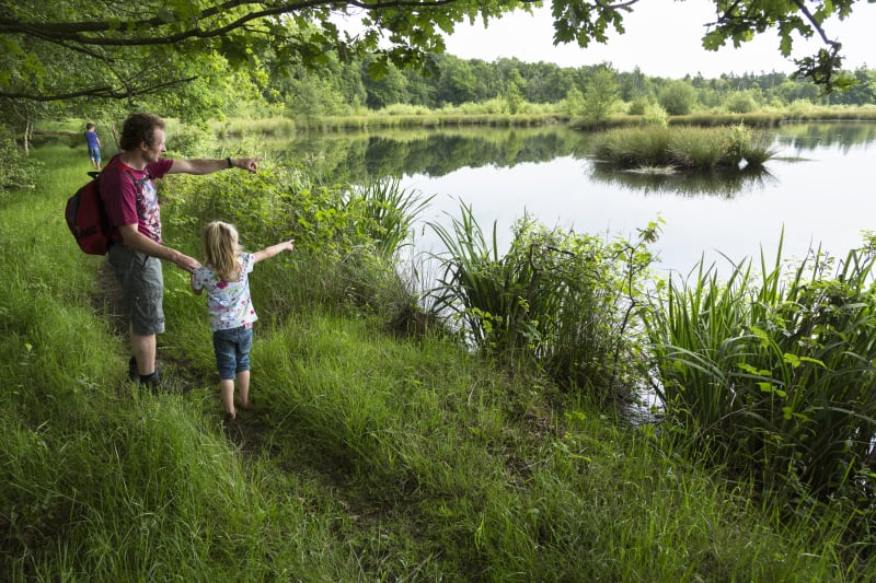 Natuurherstel Witte Veen | Natuurmonumenten