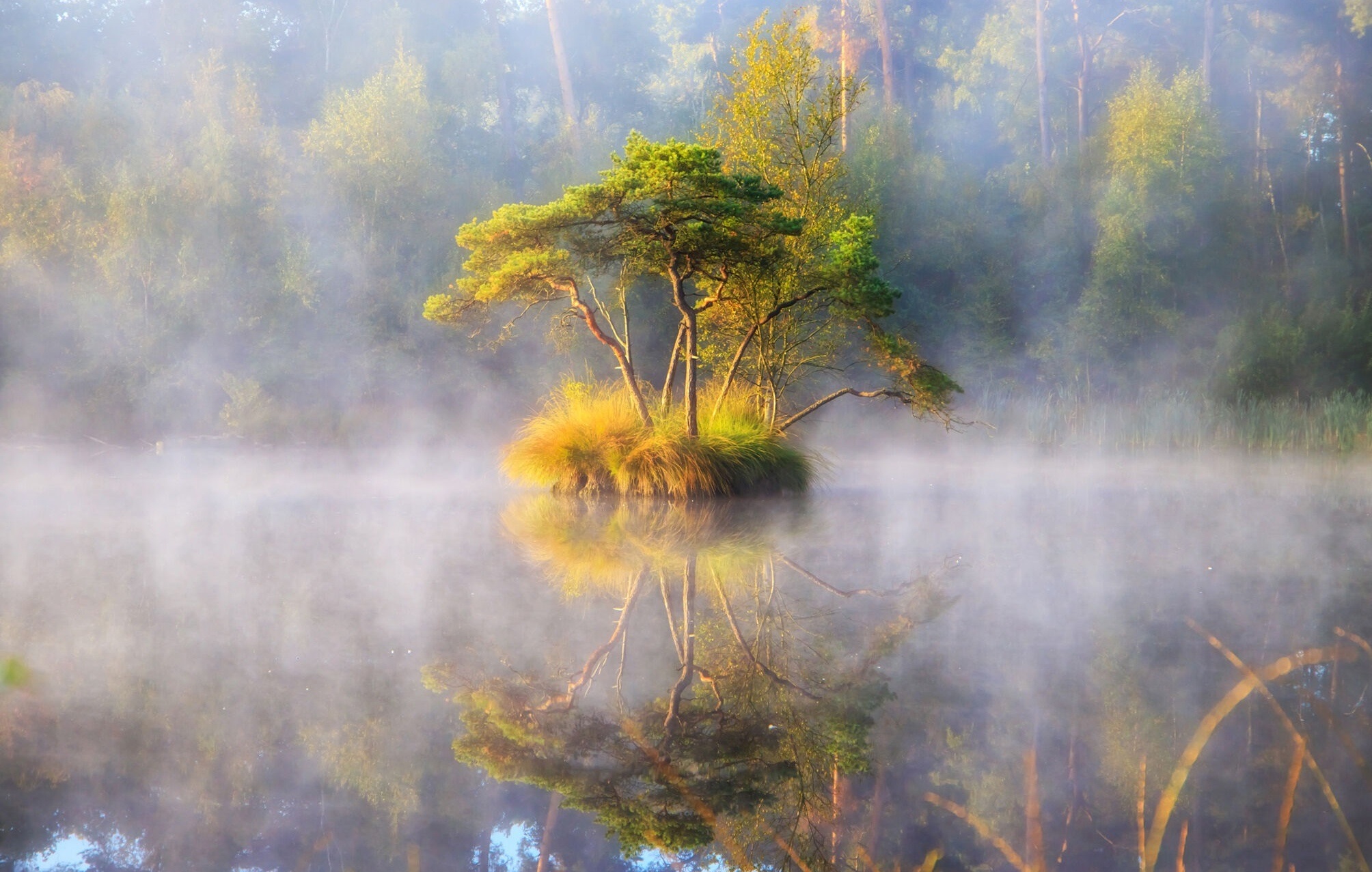 Unieke Foto's Van De Natuur Zó Mooi Is Nederland: 11 X De Mooiste