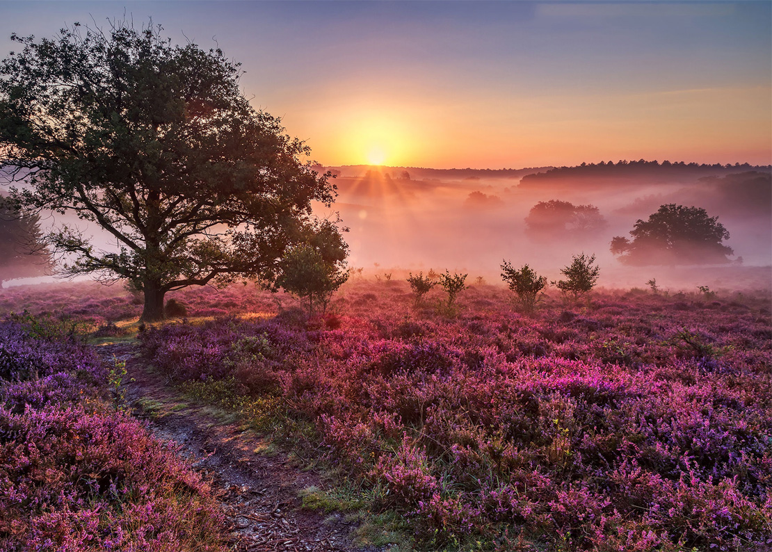 Zoeken | Natuurmonumenten