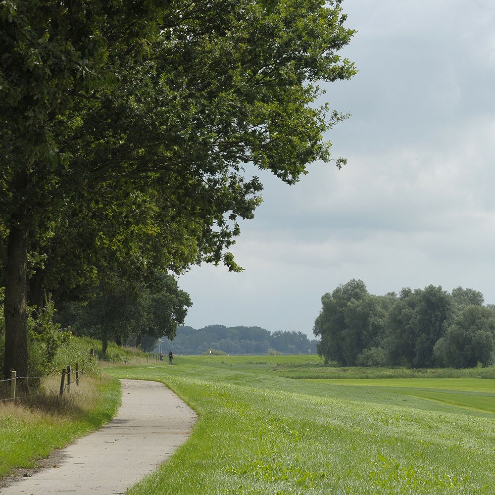 Fietsroute Hoge Land van Vollenhove | Natuurmonumenten