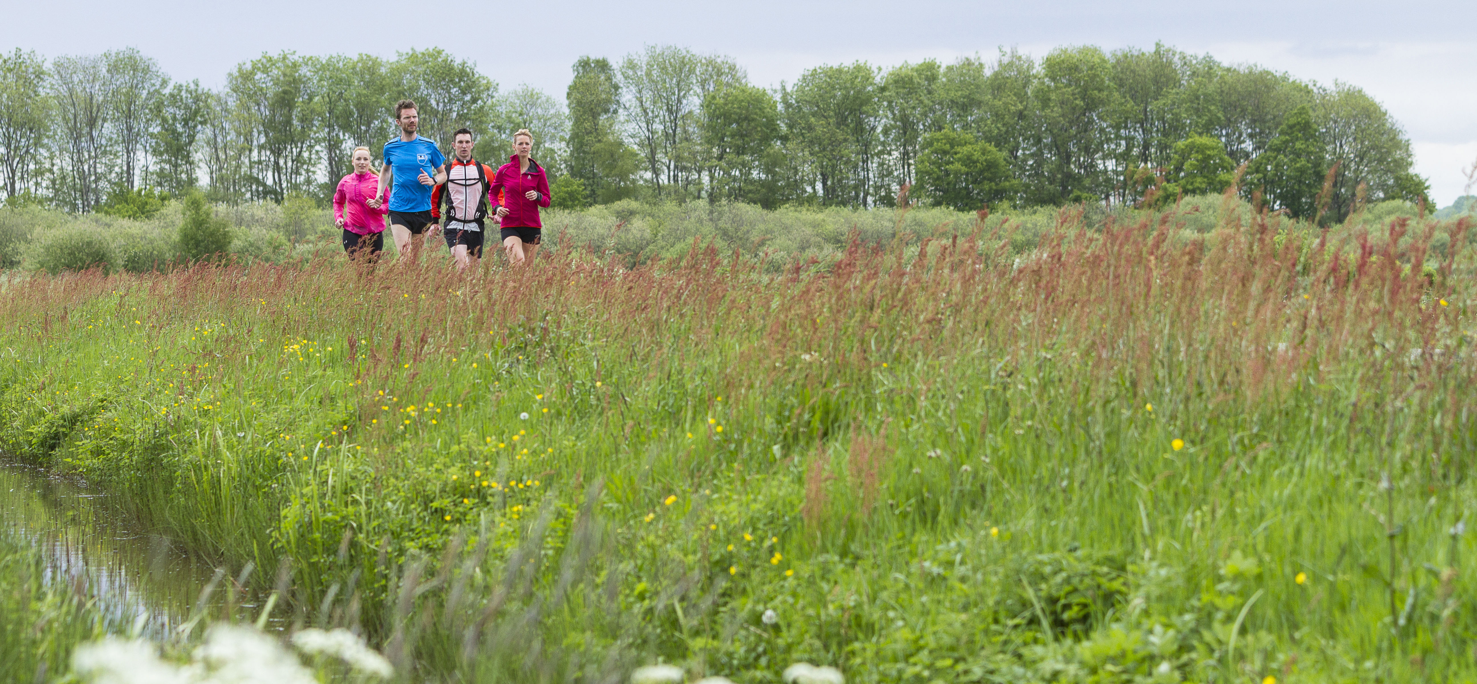 Hardlopen en trailrunning | Natuurmonumenten Hardlopen en trailrunning | Natuurmonumenten