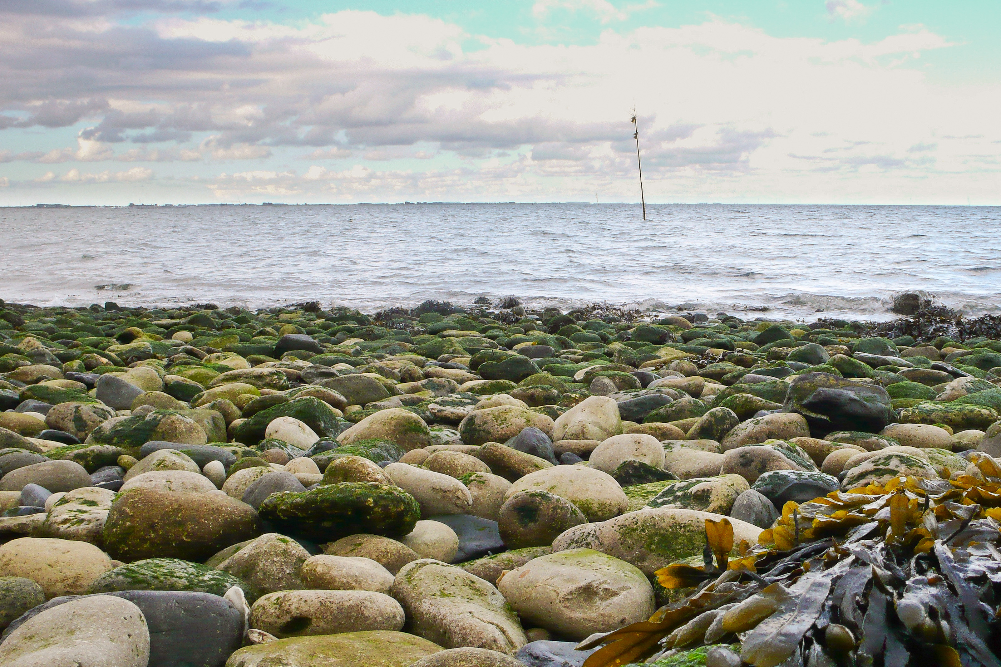 Nationaal Park Oosterschelde - Natuurgebied | Natuurmonumenten