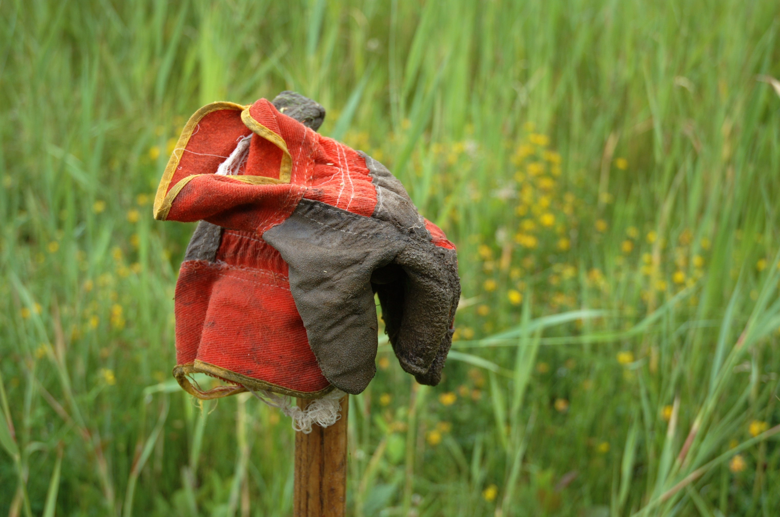 Werken bij Natuurmonumenten | Natuurmonumenten